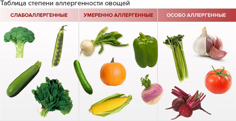 Овощное пюре для первого прикорма: советы и рекомендации по выбору и ...